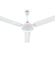 Energy Saver Ceiling Fan – Royal Fans