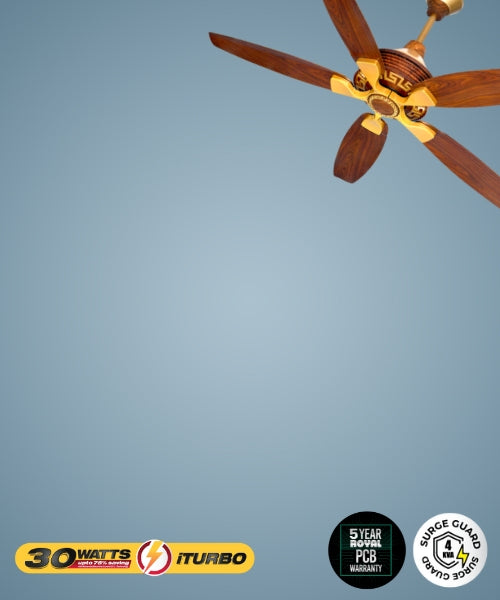 Royal Inverter Fans & Home Appliances – Royal Fans