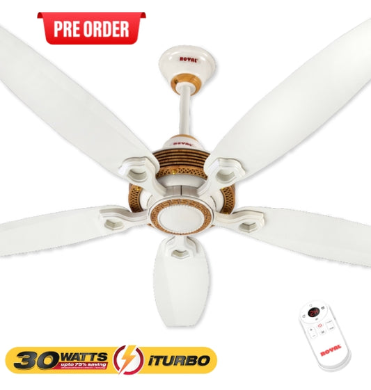 iTurbo 30 Watts Fans – Royal Fans