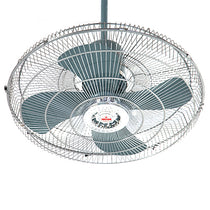 Royal Deluxe Circo Fan – Royal Fans