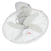 Royal Plastic Circomatic Fan – Royal Fans