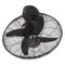 Royal Plastic Circomatic Fan – Royal Fans