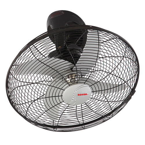 Royal Plastic Circomatic Fan – Royal Fans