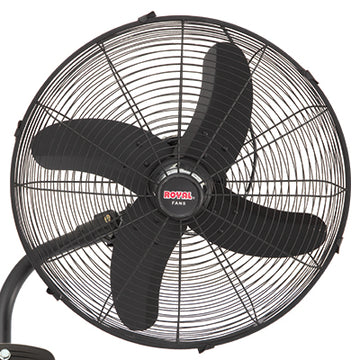 Fans – Royal Fans